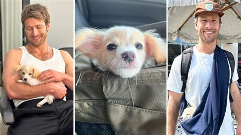 Glen Powells Rescue Dog Brisket Escaped On A Flight And Became A