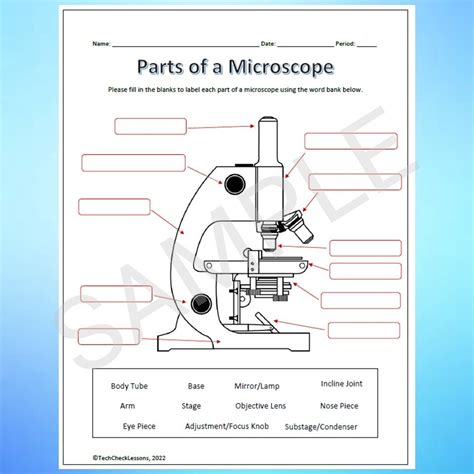 Parts Of A Microscope Worksheet