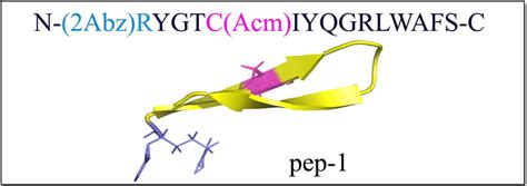Structure Representation Of Pep 1 3 D Structure Of Pep 1 As Well As Download Scientific