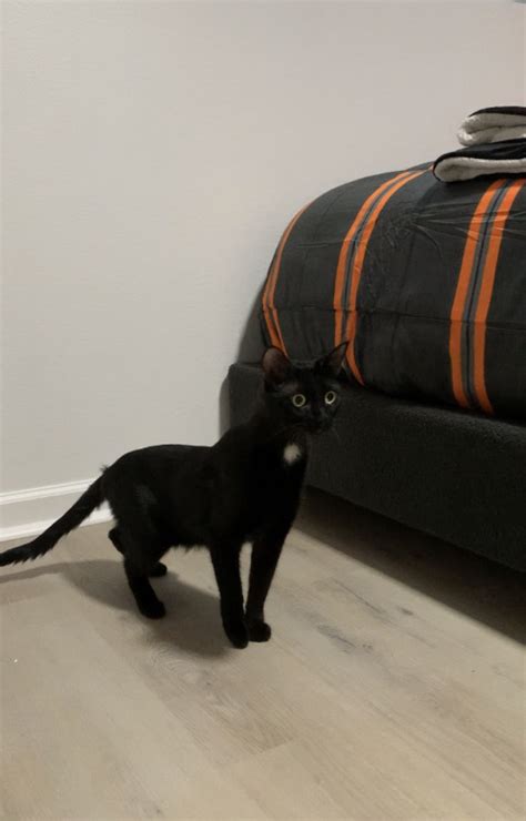 The Thing Came Out Of Hiding Tumbex