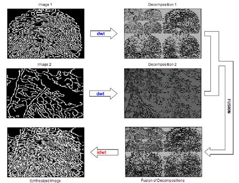 Wavelet Fusion Of Line Image Download Scientific Diagram