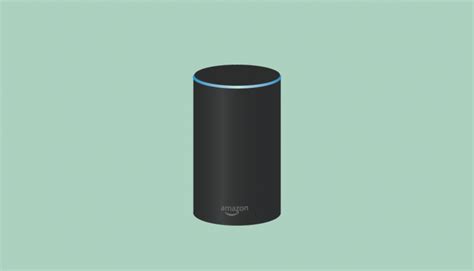 amazon echo と alexa の違い とは aoxa あおくさ
