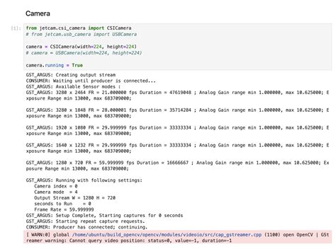 jetracer no camera widget when running interactive regression jetson