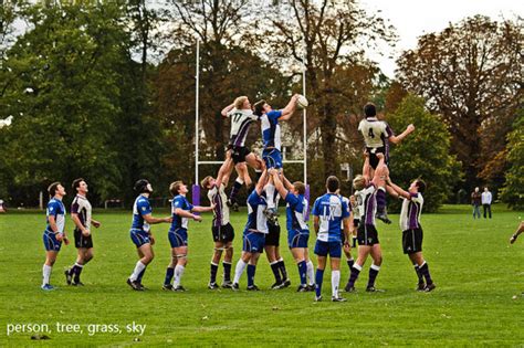【图解ai】什么是语义分割、实例分割、全景分割语义分割和实力分割和全景分割 Csdn博客