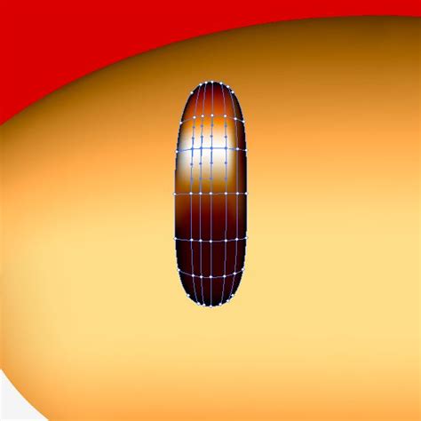basics of the mesh tool in illustrator mesh tool mesh web design