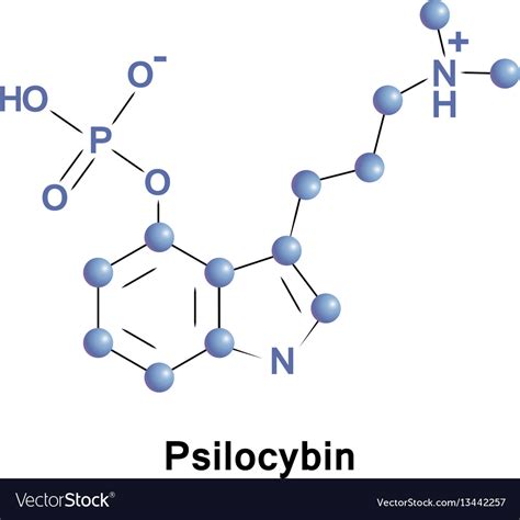Psilocybin Psychedelic Compound Mushrooms Vector Image