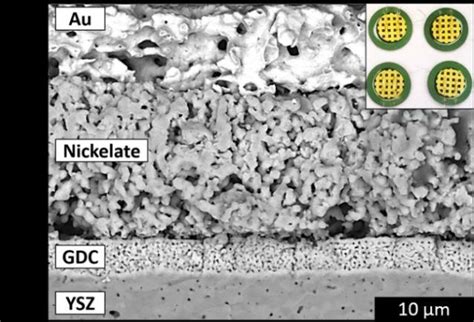 8 A A Cell Cross Section Showing Configuration Of All Components Download Scientific Diagram