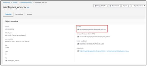 How To Read CSV Files From S Using Python