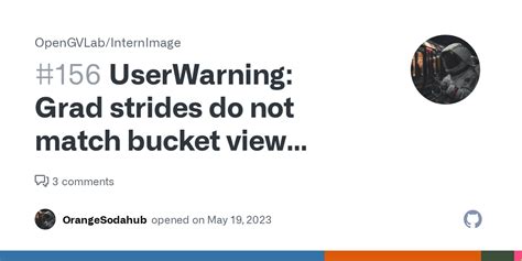 UserWarning Grad Strides Do Not Match Bucket View Strides Issue OpenGVLab InternImage