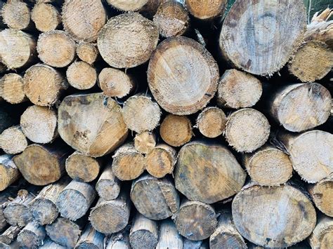 Dr Stephan Hausberg On Linkedin Python Developer Team Java Agile