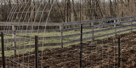 Trellis Using Wire Fencing Panels Help Finding Trellis Materials