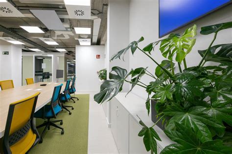 Renting De Plantas Para Oficinas Aloe Plantes