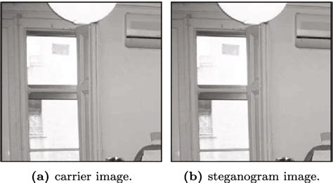 Example Of Application Of The Steganography Algorithm During The Download Scientific Diagram