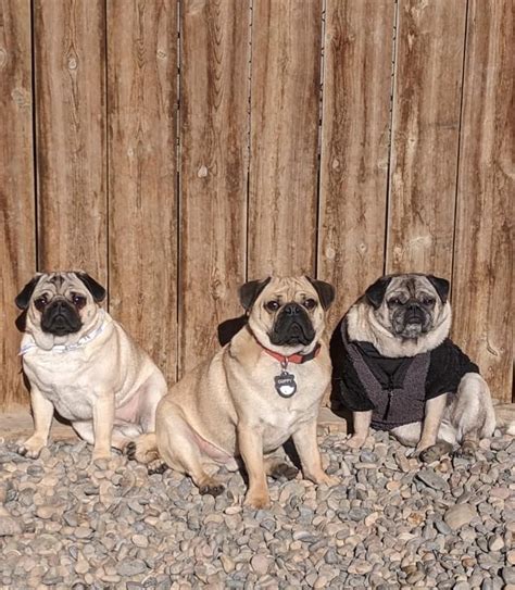 Kaiser And Associates Added A New Photo Kaiser And Associates