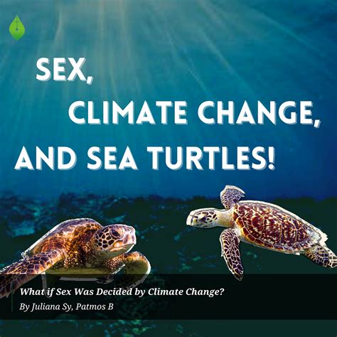 What If Sex Was Decided By Climate Change
