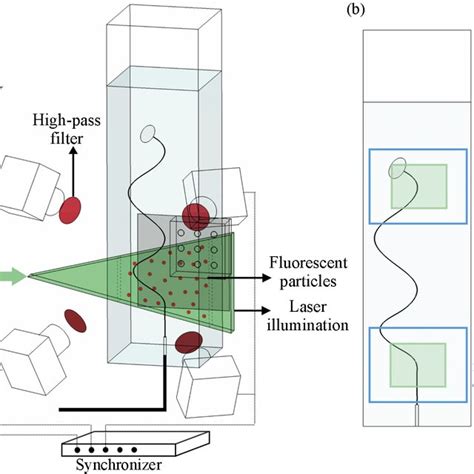 A Schematic Of The Time Resolved Tomographic Piv Tpiv Download