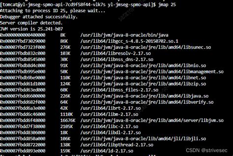 【每日一小时】常用运维命令java运维常用命令 Csdn博客