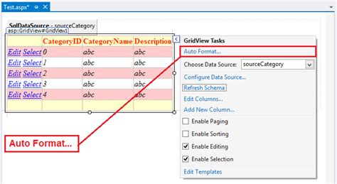 GridView Formatting Styling With Visual Studio