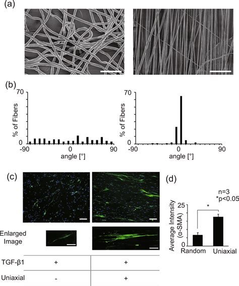 Characteristics Of Aligned Fibers And The Effects Of Aligned Pattern On
