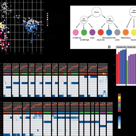 Exploration Of Spatial Distribution Of Dna Methylation Based Subtypes