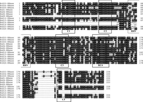 Amino Acid Sequence Alignment Of Three Novel S Rnases Obtained From Download Scientific Diagram