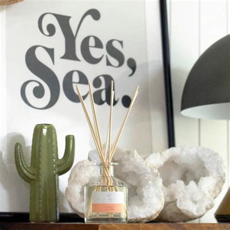 Watermelon Fragrance Diffuser Debs Hidden Treasures