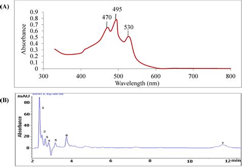 Extreme Halophilic Archaea Halobacterium Salinarum Carotenoids Characterization And Antioxidant