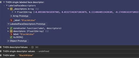 getting empty array when accessing labeledfacedescriptor · issue 902