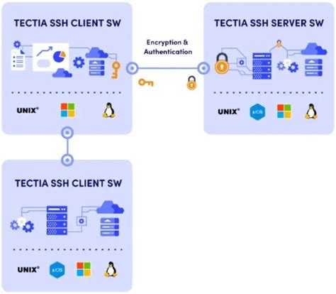 Phần Mềm Tectia Server Là Gì Ứng Dụng Và Nơi Mua Tectia Server Tại