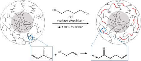 Schematic Representation Of Surface Crosslinking Reaction Download