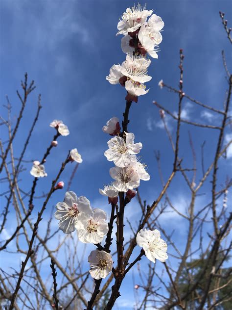 Thank You For The Lessons Great Aunt Bea Success Without Stress