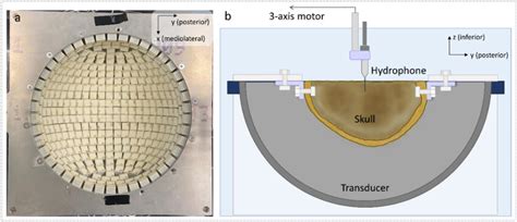 Top View Of The Transducer Array A And The Experimental Setup B