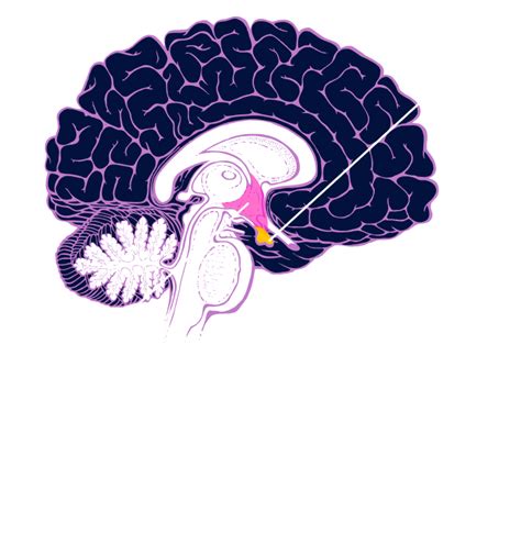 What Are The Signs Of Central Precocious Puberty Cpp