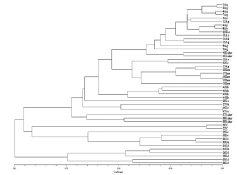 Dendrogram Derived From Cluster Analysis Upgma Showing Relationship