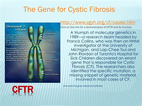 Ppt Cftr Powerpoint Presentation Free Download Id5312193