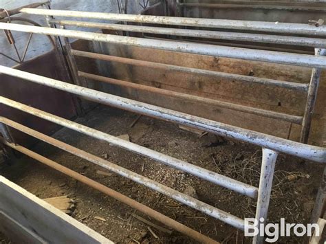 Life Time Farrowing Crates Agriculture Bigiron Life Time Farrowing Crates Agriculture Bigiron