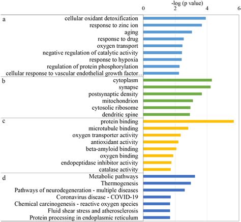 Go And Kegg Enrichment Analysis Of The Deps Associated With Mild