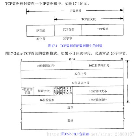 读书：tcp ip详解卷1：协议 当i p将接收到的t t l字段减1 发现它为0时 将会发生什么结果 csdn博客