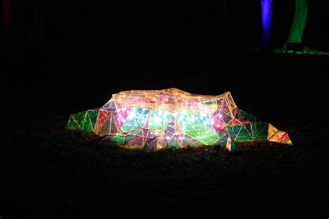 그림토리 ‘그루터기 빛조형물 제작 그루터기 아름다운 이상한