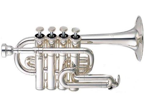 მუსიკალური ინსტრუმენტები