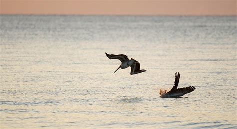 The Spa At Sweetgrass Menu By Wild Dunes Resort Issuu