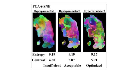 Information Entropy Based Strategy For The Quantitative Evaluation Of