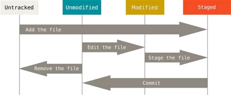 Git 笔记系列二 Git工作流程 MMao