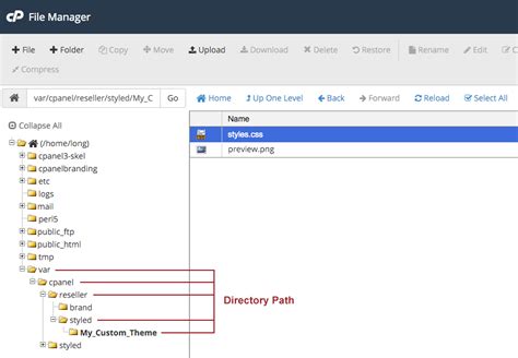 CPanel Branding Basics A Guide For Reseller Hosts CPanel