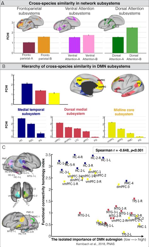 Cross Species Functional Alignment Reveals Evolutionary Hierarchy Within The Connectome Pmc