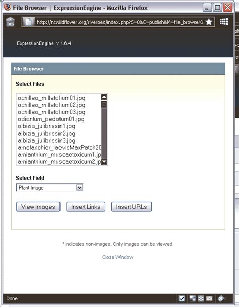 Built In File Browser