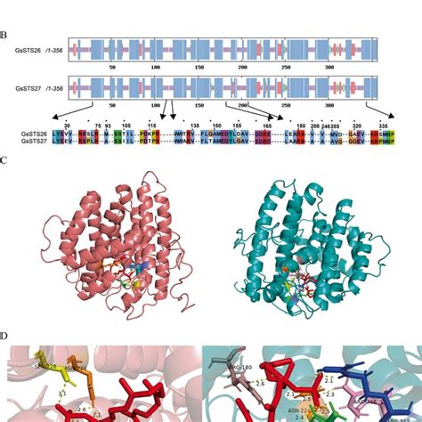 Analysis Of Gene Structure And Protein Tertiary Structure Prediction A Download Scientific