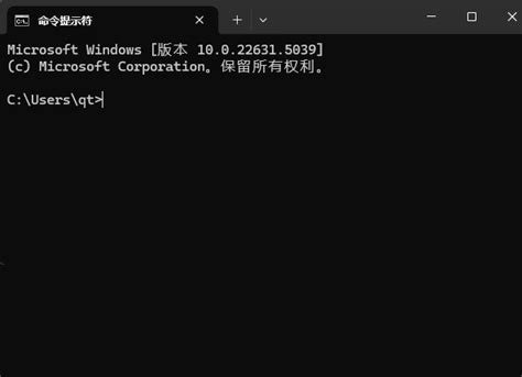 如何以管理员身份运行cmd：详解与技巧系统教程系统世界