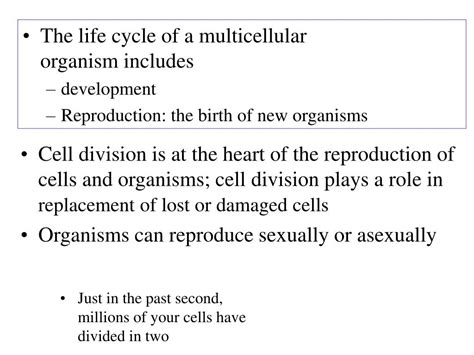 Ppt Chapter 8 The Cellular Basis Of Reproduction And Inheritance