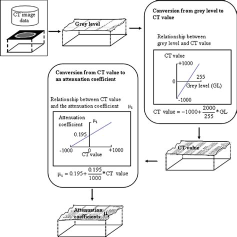 Process Of The Conversion From Grey Levels To Attenuation Coefficients Download Scientific